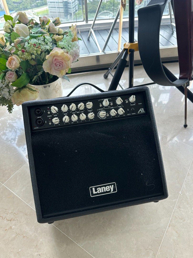 Laney A1+ Amplifier, Audio, Soundbars, Speakers & Amplifiers on Carousell