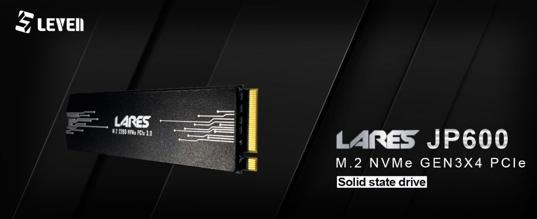 LEVEN JP600 1TB M.2 NVMe PCIe 3.0 SSD(Solid State Drive), Computers ...
