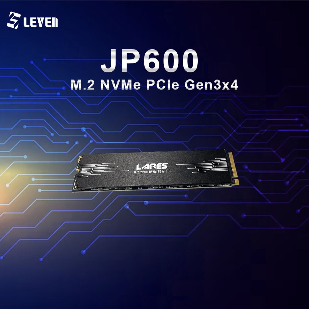 LEVEN JP600 1TB M.2 NVMe PCIe 3.0 SSD(Solid State Drive), Computers ...