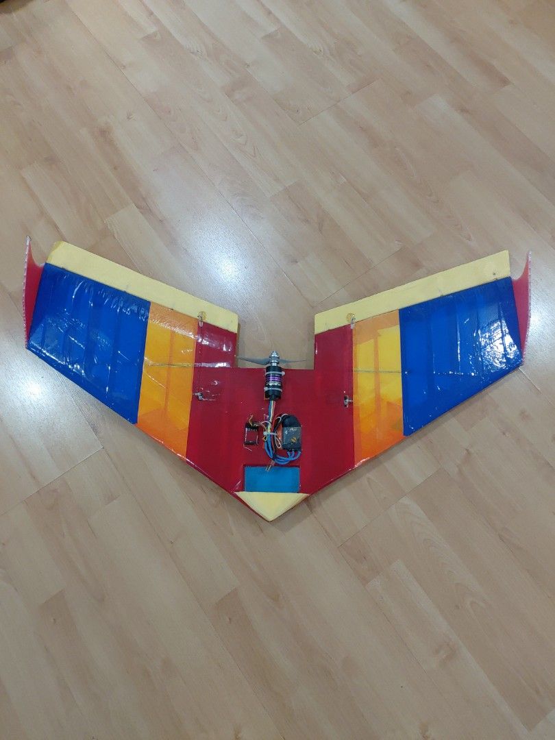 Radio Controlled flying wing RC plane, Hobbies & Toys, Toys & Games on ...