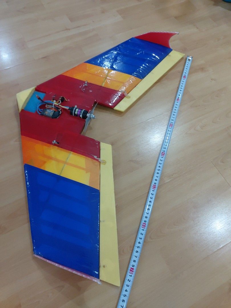 Radio Controlled flying wing RC plane, Hobbies & Toys, Toys & Games on ...