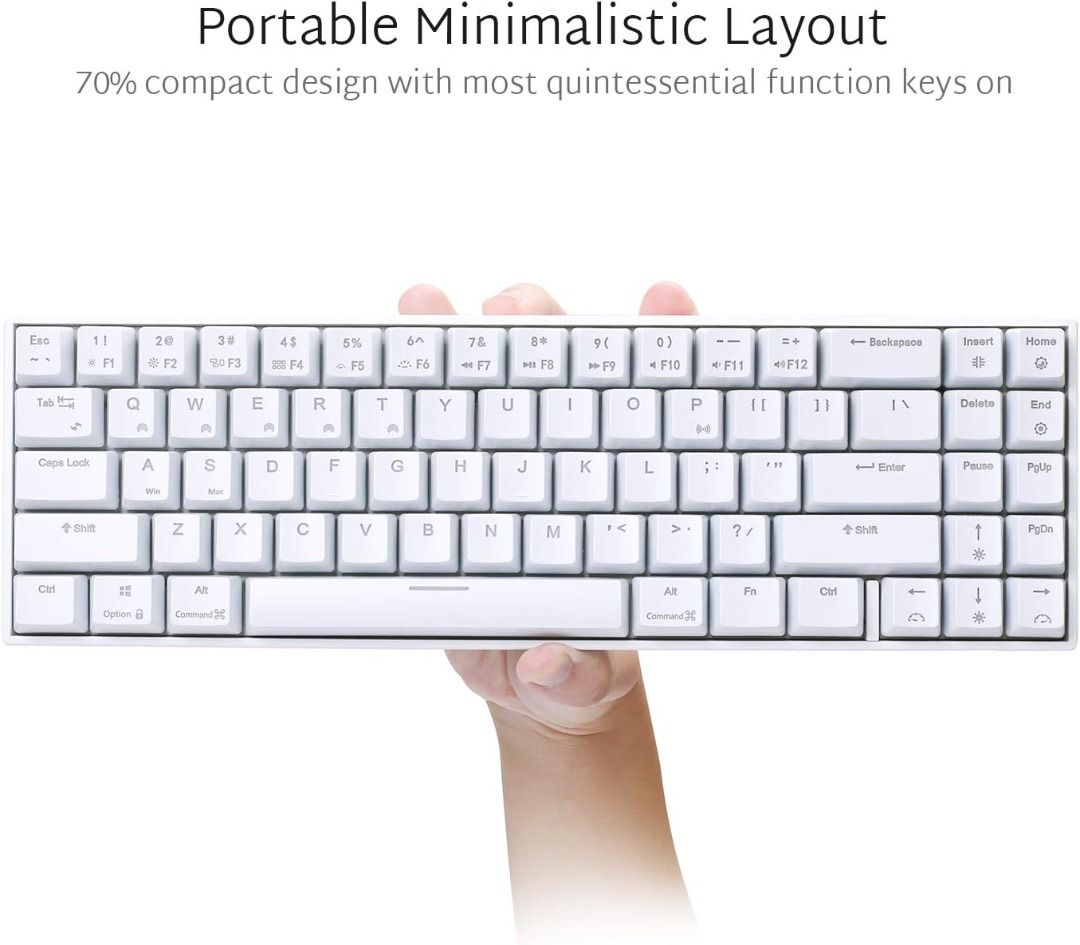 ROYAL KLUDGE RK71, Computers & Tech, Parts & Accessories, Computer ...