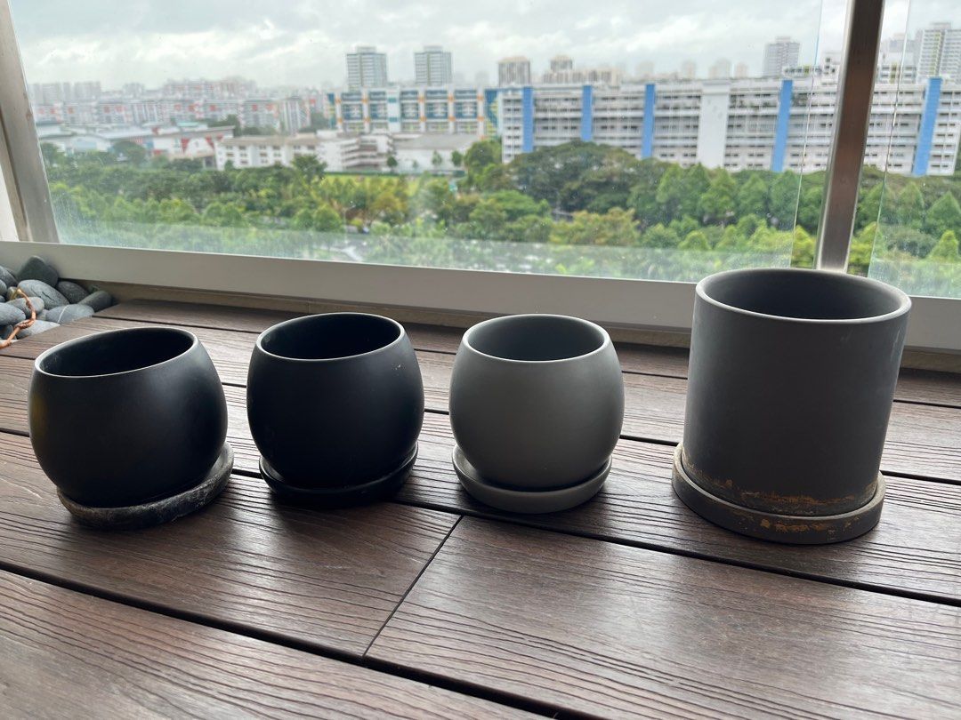 Ceramic plant pots (10cm/ 12cm), Furniture & Home Living, Gardening ...