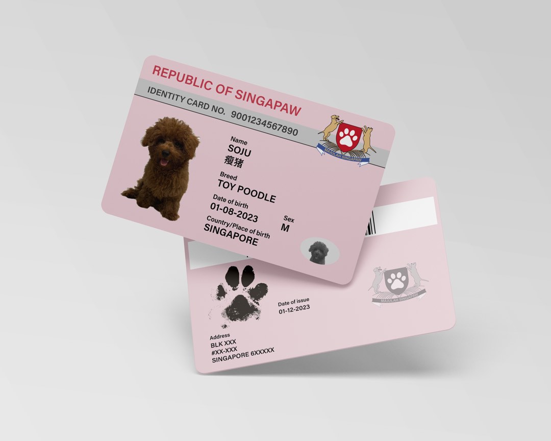 Pet IC, Pet Supplies, Homes & Other Pet Accessories on Carousell