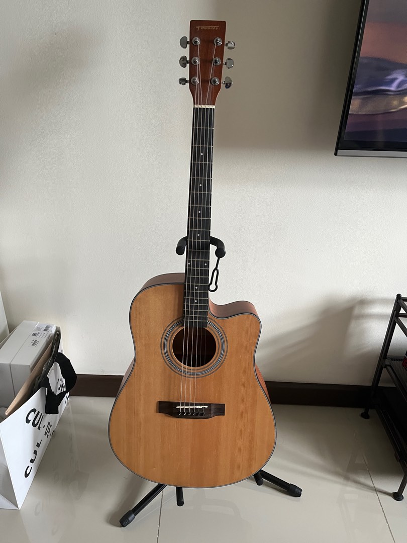 Fernando Acoustic tf matte with fishman pickup, Hobbies & Toys, Music ...