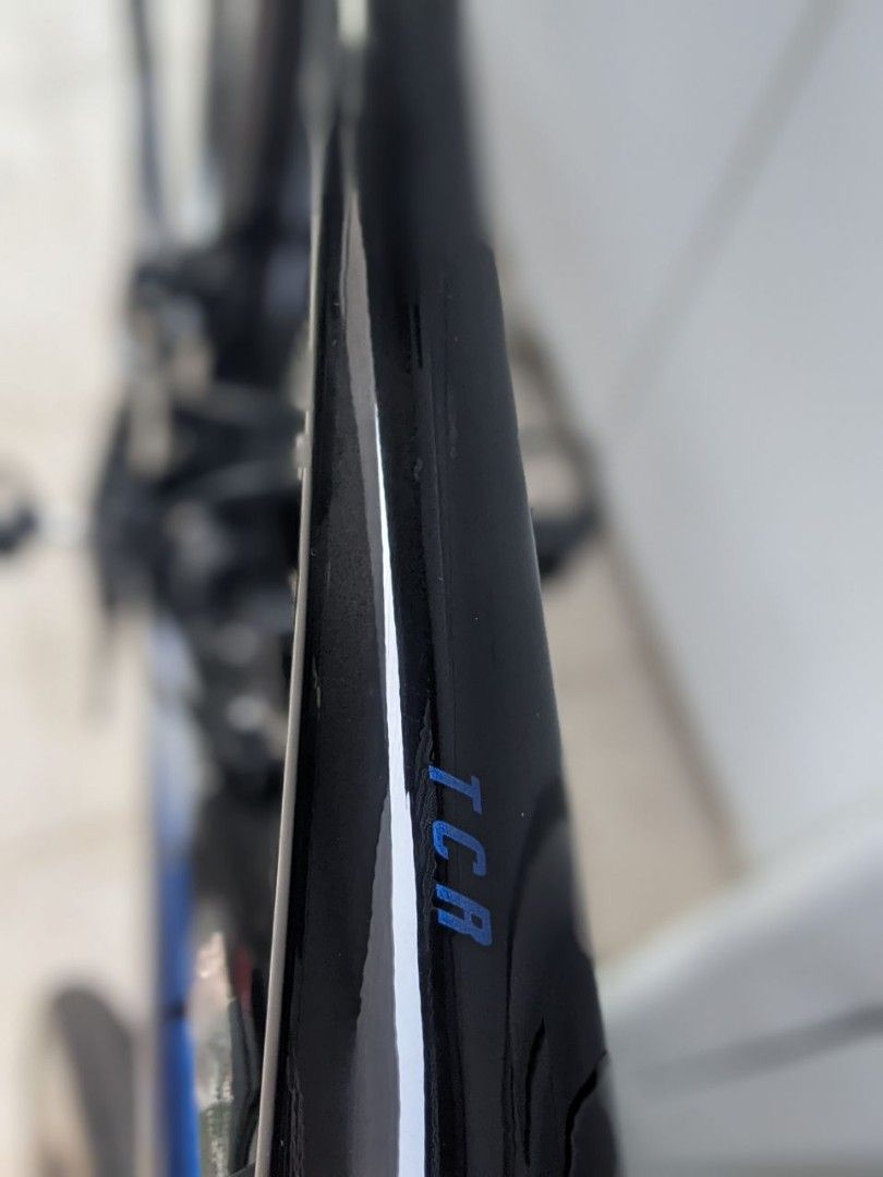 Giant TCR Pro 2 + Winspace Hyper 50mms, Sports Equipment, Bicycles ...