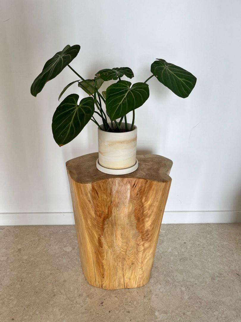 Odd-shaped natural wood tree trunk plant stand, Furniture & Home Living ...