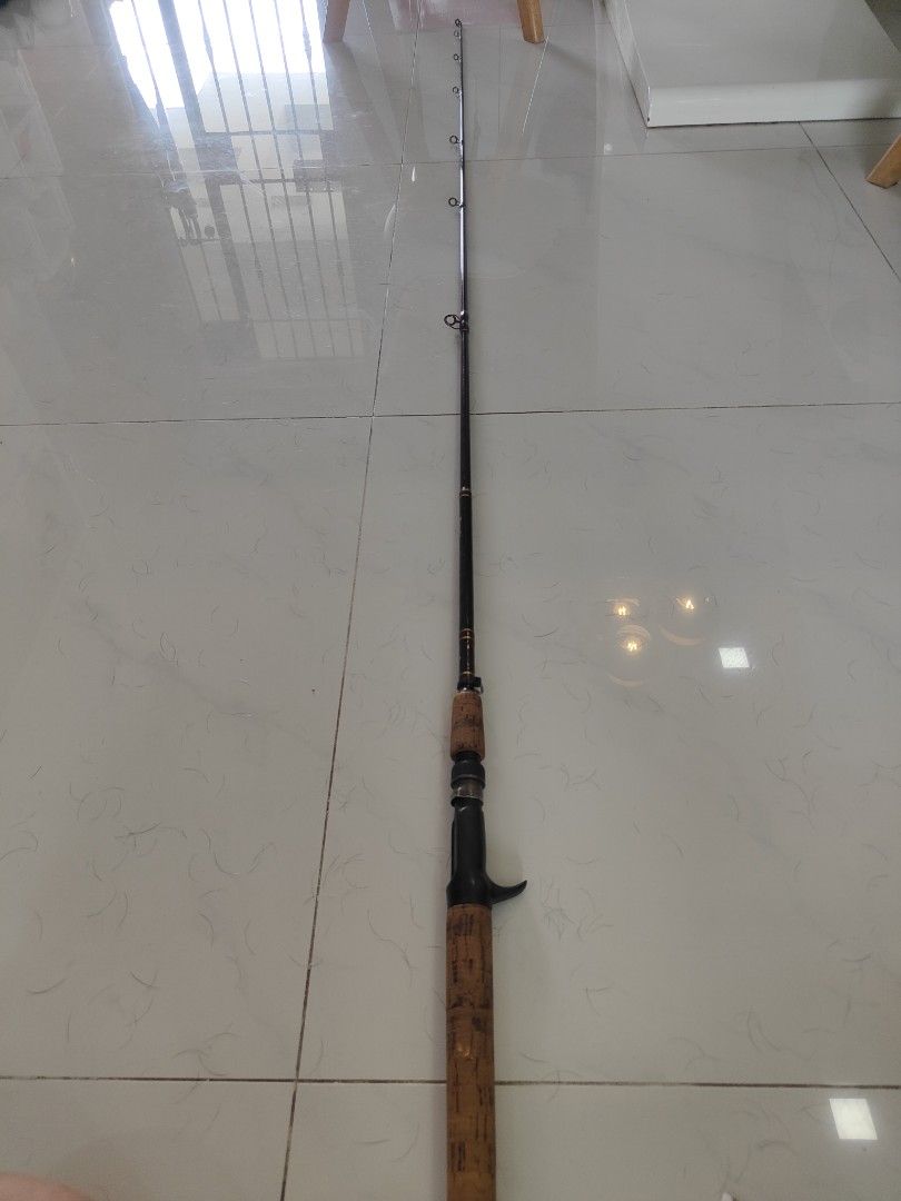 Pinnacle Vision BC rod, Sports Equipment, Fishing on Carousell
