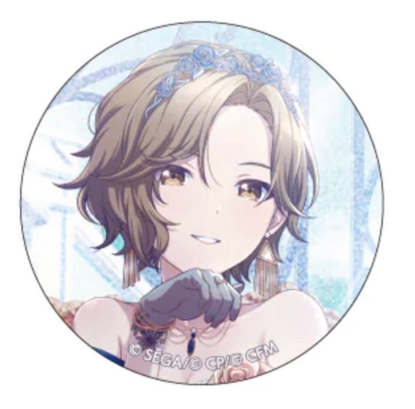 Project Sekai PRSK Proseka Akito Shinonome MEIKO badges, Hobbies & Toys ...