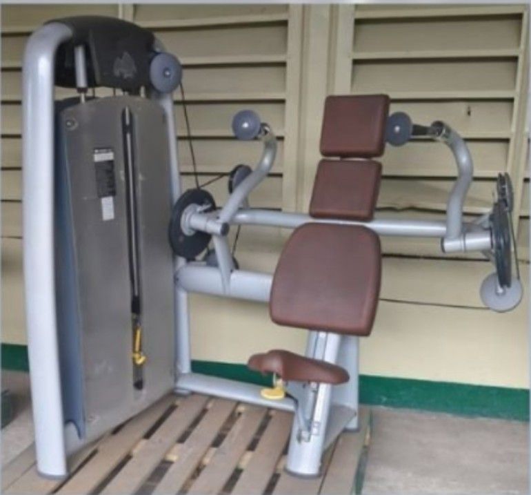 Seectorized Pectoral Fly Machine, Sports Equipment, Exercise & Fitness ...