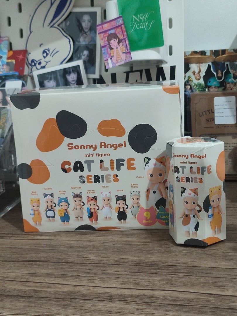 Sonny Angels Cat Life Series Confirmed Box, Hobbies & Toys, Memorabilia ...