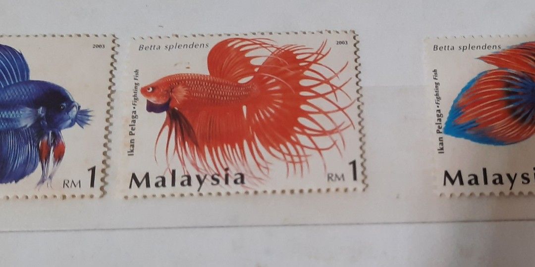 Betta fish series (Malaysia stamps), Hobbies & Toys, Collectibles & Memorabilia, Stamps & Prints ...
