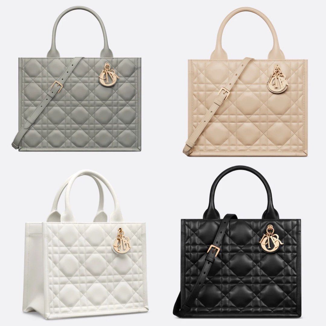 Dior 2024 New Book Tote, Luxury, Bags & Wallets on Carousell