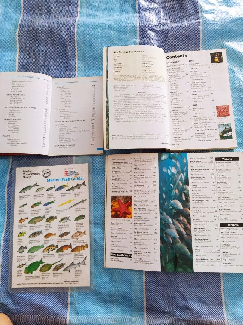 Diving shorty wet suit and diving guide books, Sports Equipment, Sports ...