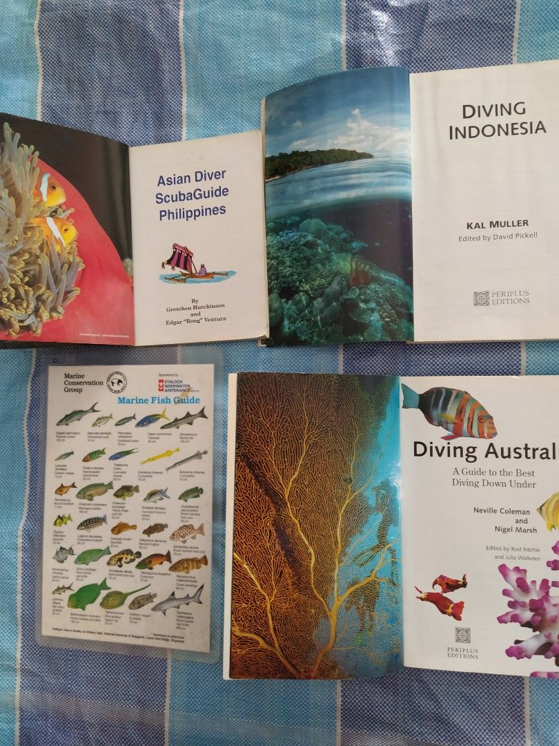 Diving shorty wet suit and diving guide books, Sports Equipment, Sports ...
