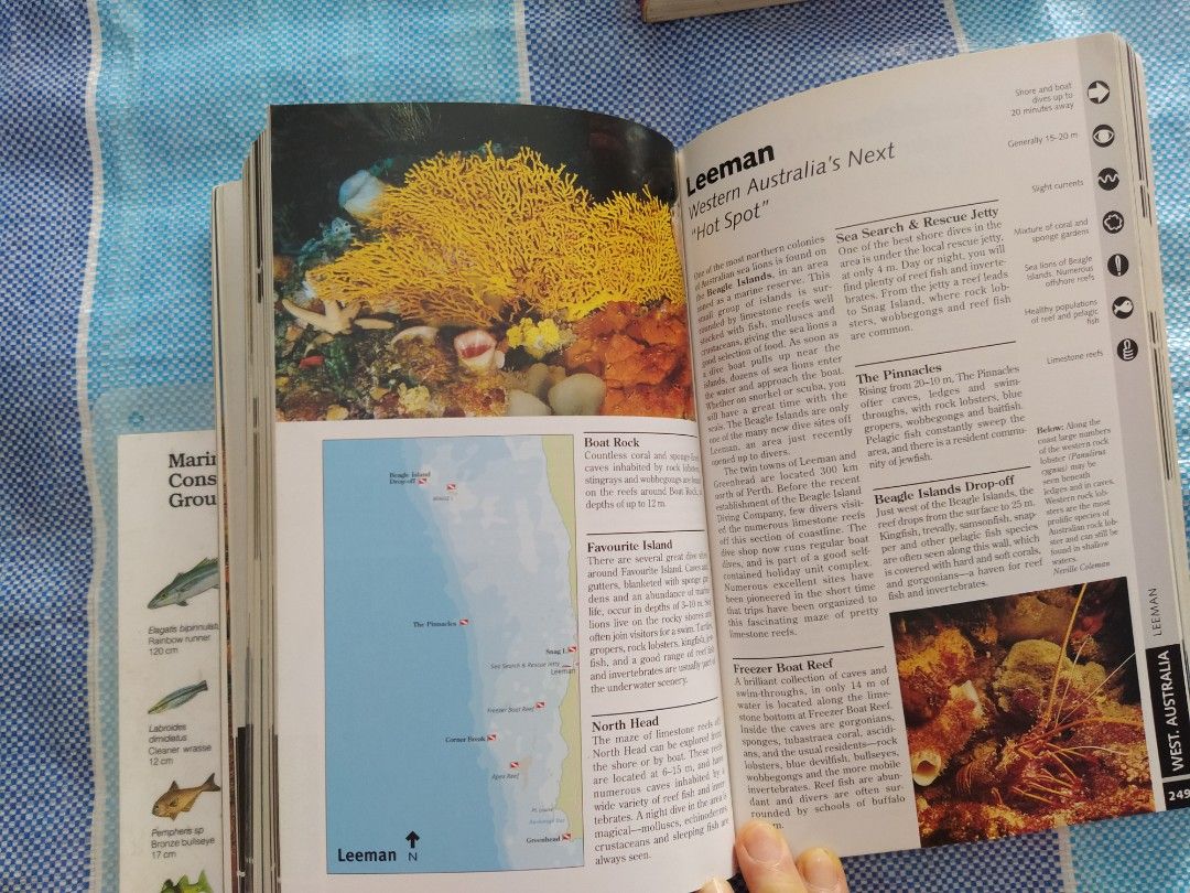 Diving shorty wet suit and diving guide books, Sports Equipment, Sports ...