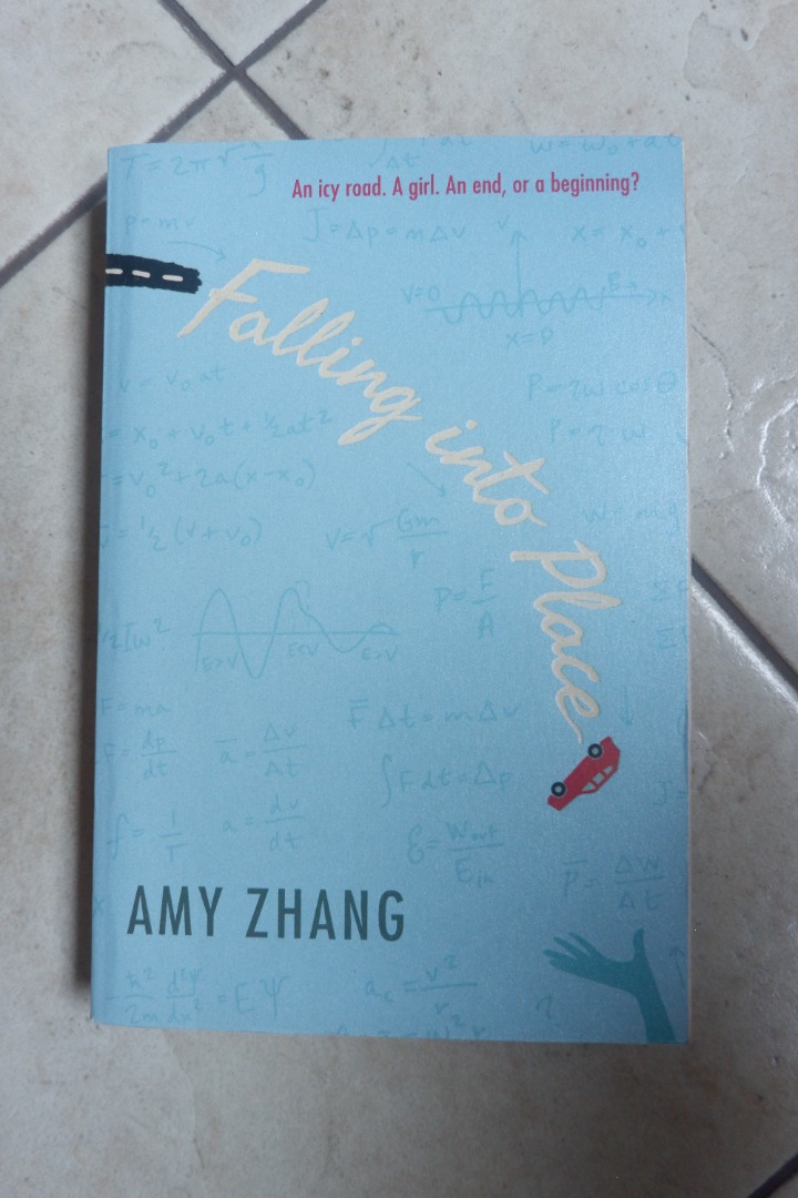 Falling Into Place by Amy Zhang, Hobbies & Toys, Books & Magazines ...