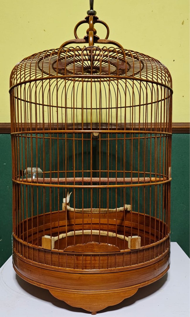 Finch cage/ canary cage, Pet Supplies, Homes & Other Pet Accessories on ...
