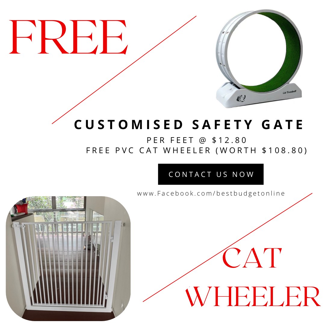[FREE PVC CAT WHEELER] Customised Safety Gate, Pet Supplies, Homes ...