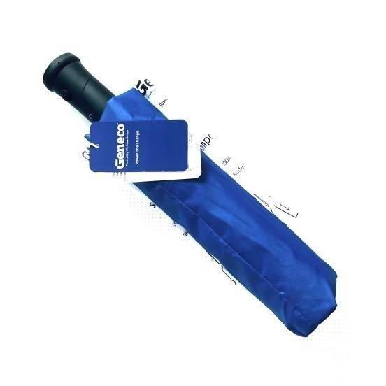 Geneco Foldable Umbrella with Torchlight, Hobbies & Toys, Travel ...