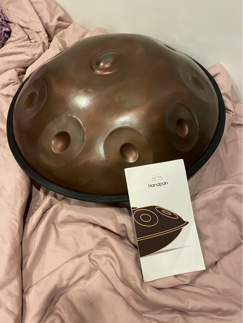HandPan Steel Drum with Drum case, Hobbies & Toys, Music & Media ...