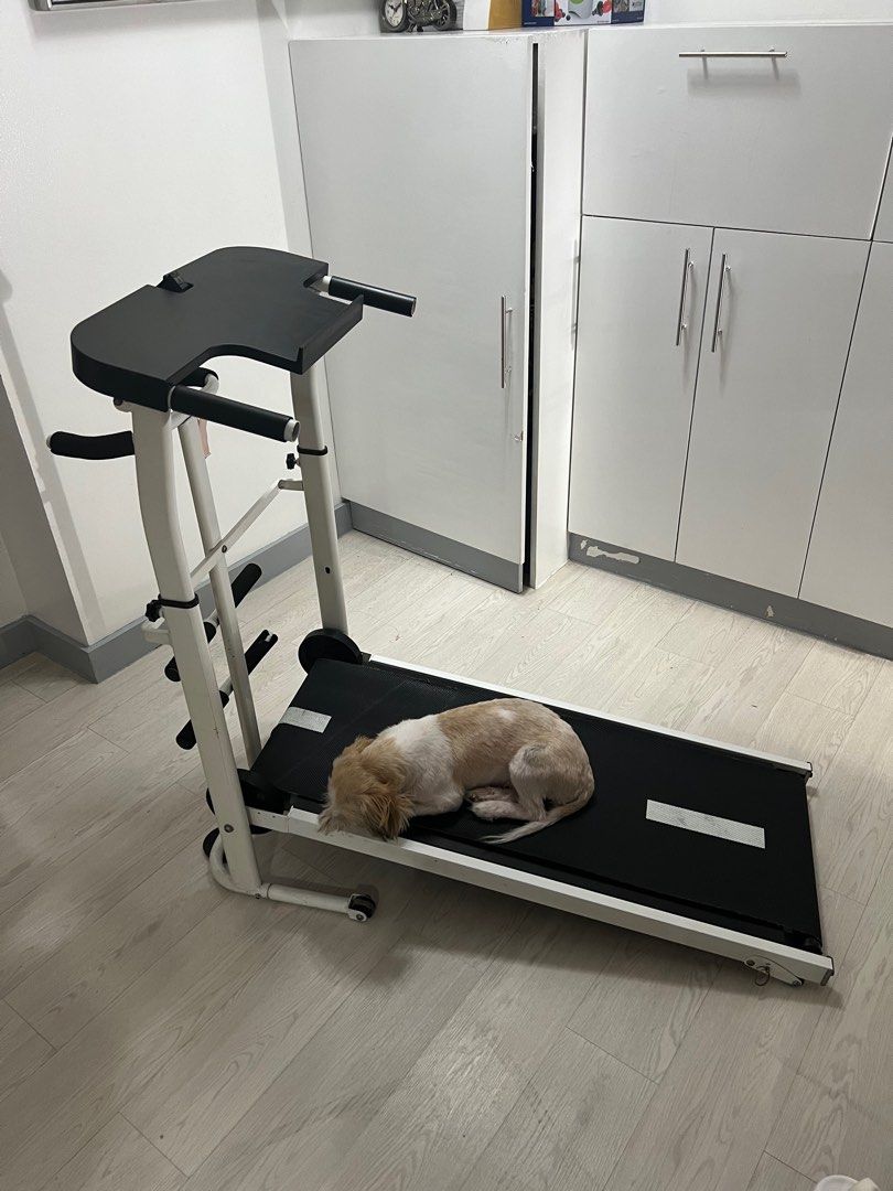 MANUAL FOLDABLE TREADMILL, Sports Equipment, Exercise & Fitness, Cardio ...