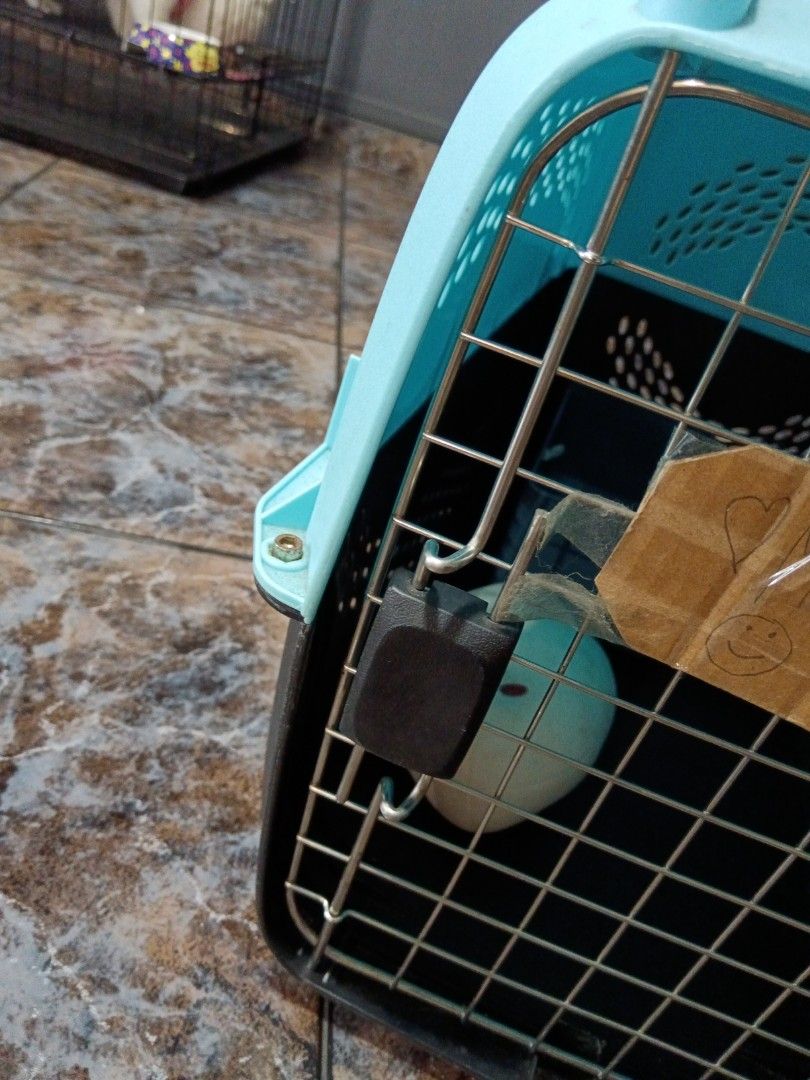 Pet Carrier, Pet Supplies, Homes & Other Pet Accessories on Carousell