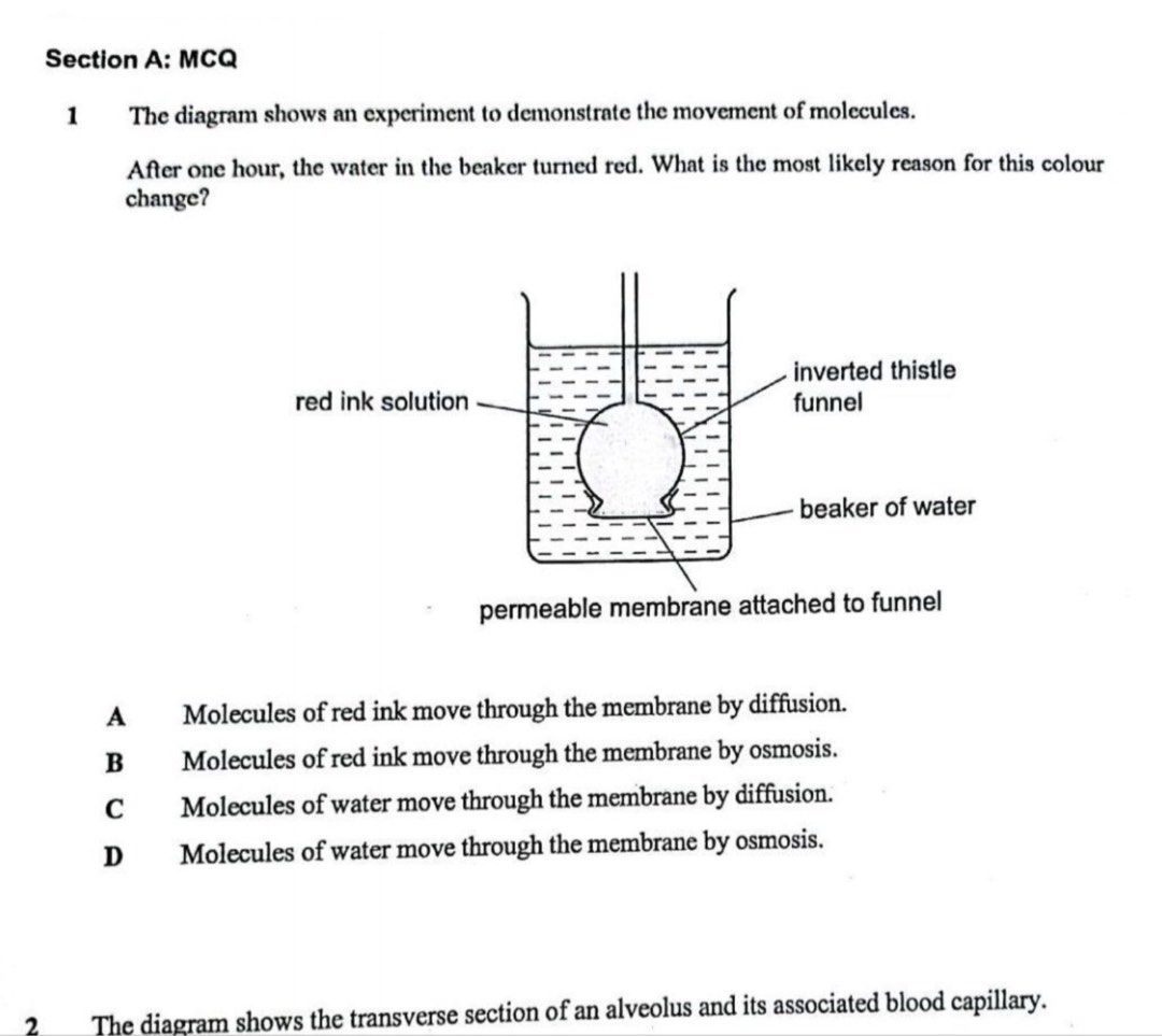 Sec 2 Express Science 2024 syll SOFT COPY Topical Worksheets with ...