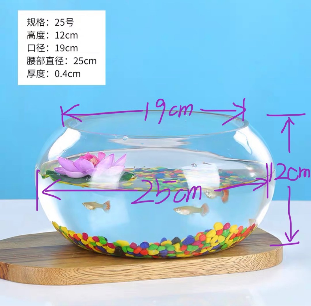 Small round glass fish tank, guppy fish tank, Pet Supplies, Homes ...