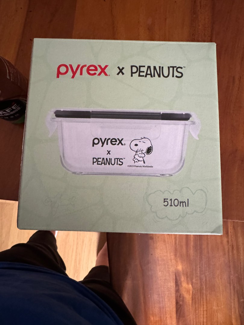 snoopy container, Furniture & Home Living, Kitchenware & Tableware ...