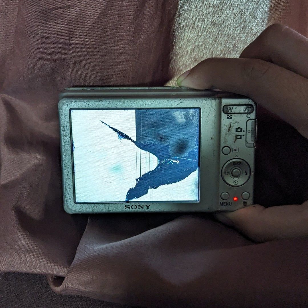 Sony Steady Shot S2100 Digital Camera, Photography, Cameras on Carousell