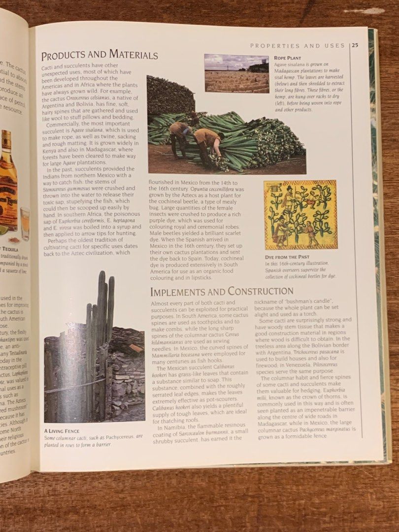 THE COMPLETE BOOK OF CACTI & SUCCULENTS ; The definitive practical ...