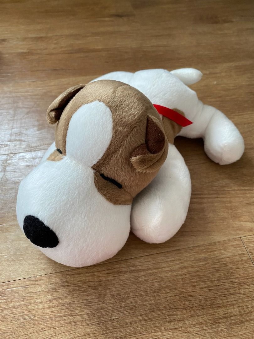 Ocean Park 海洋公園攤位公仔 - 趴地狗, 興趣及遊戲, 玩具 & 遊戲類 - Carousell