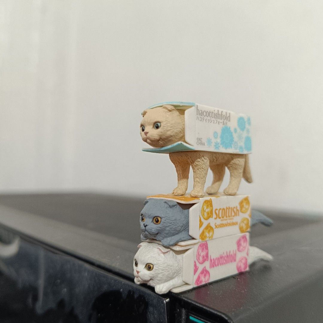 Cat gashapon kitan club scottish fold, Hobbies & Toys, Toys & Games on ...