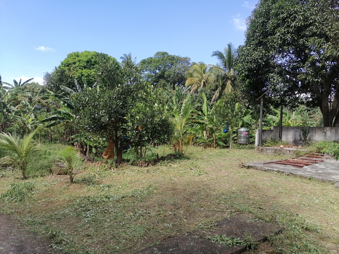 Farm Lot For Sale in Pangil Amadeo, Property, For Sale, Lot on Carousell