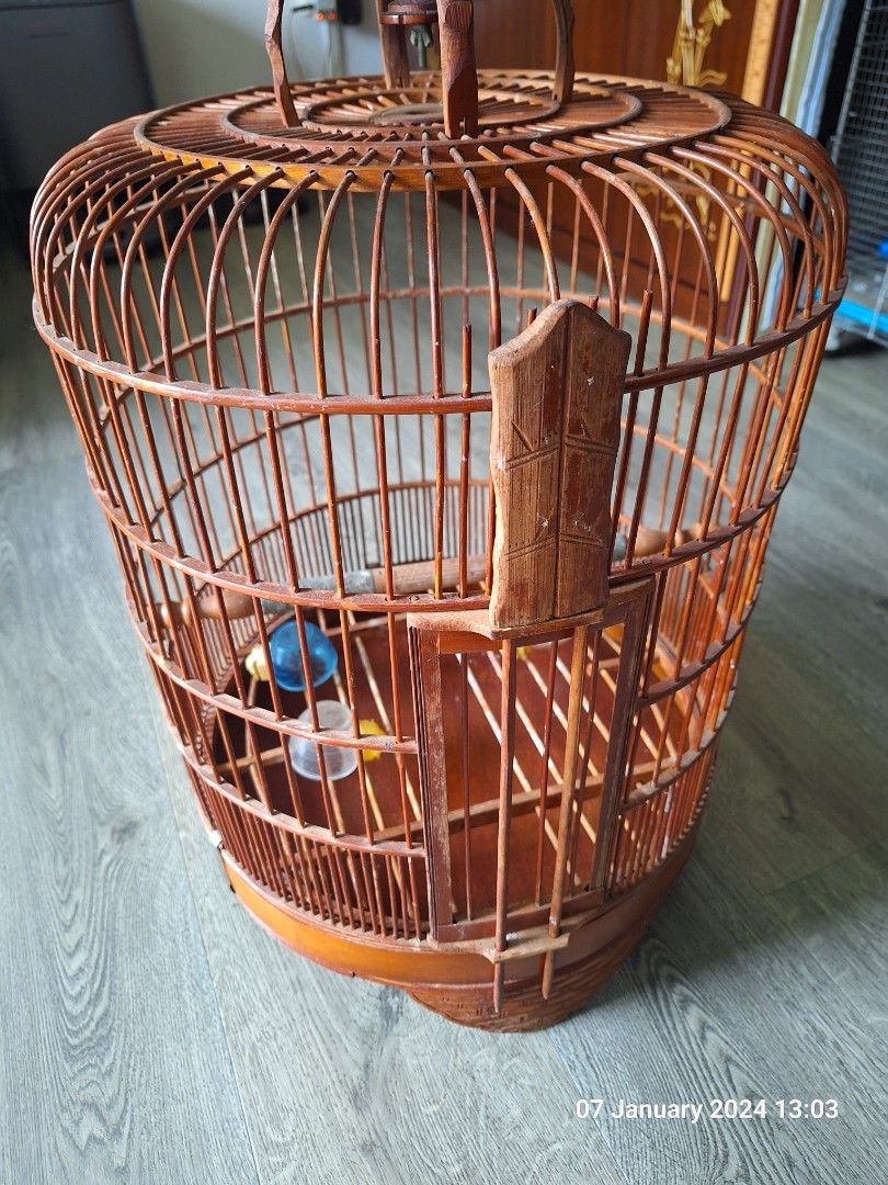 hwamei cage 15", Pet Supplies, Homes & Other Pet Accessories on Carousell