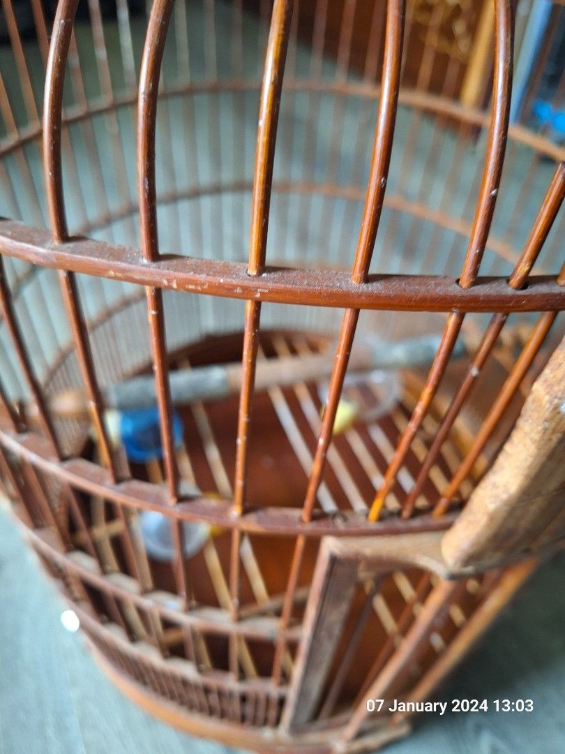 hwamei cage 15", Pet Supplies, Homes & Other Pet Accessories on Carousell