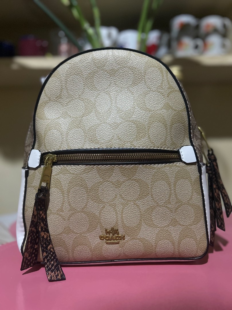 Mini Backpack, Women's Fashion, Bags & Wallets, Backpacks on Carousell