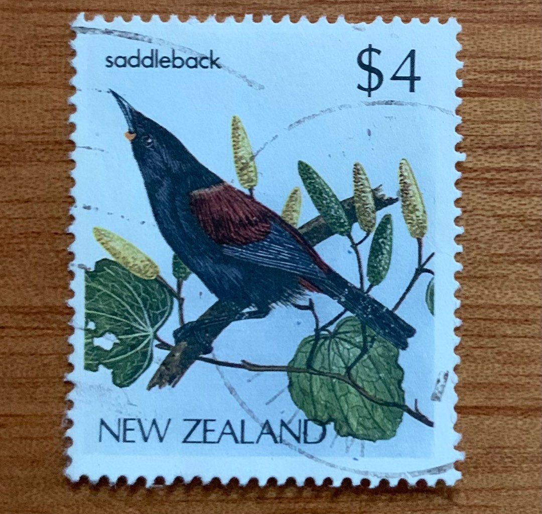 New Zealand $4 high value bird stamp, Hobbies & Toys, Memorabilia ...