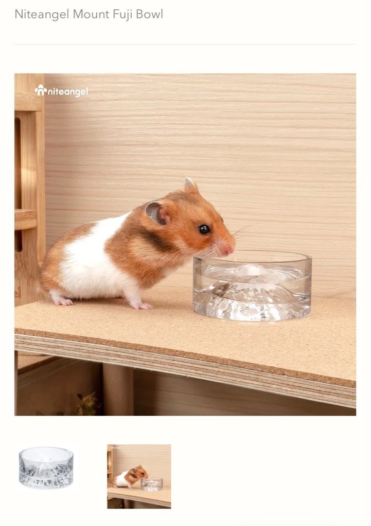 Niteangel Mount Fuji Hamster Bowl, Pet Supplies, Homes & Other Pet ...