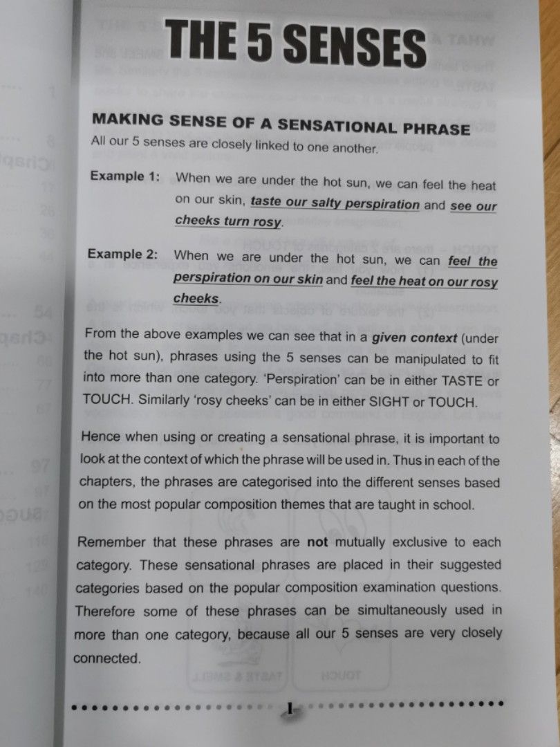 Phrases for Sensational Writing 6, Hobbies & Toys, Books & Magazines ...