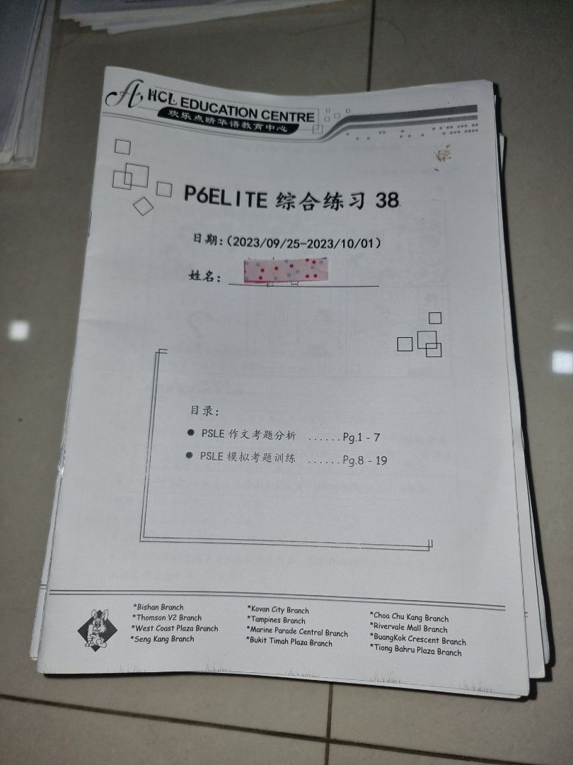 PSLE Elite HCL Chinese note, Hobbies & Toys, Books & Magazines ...