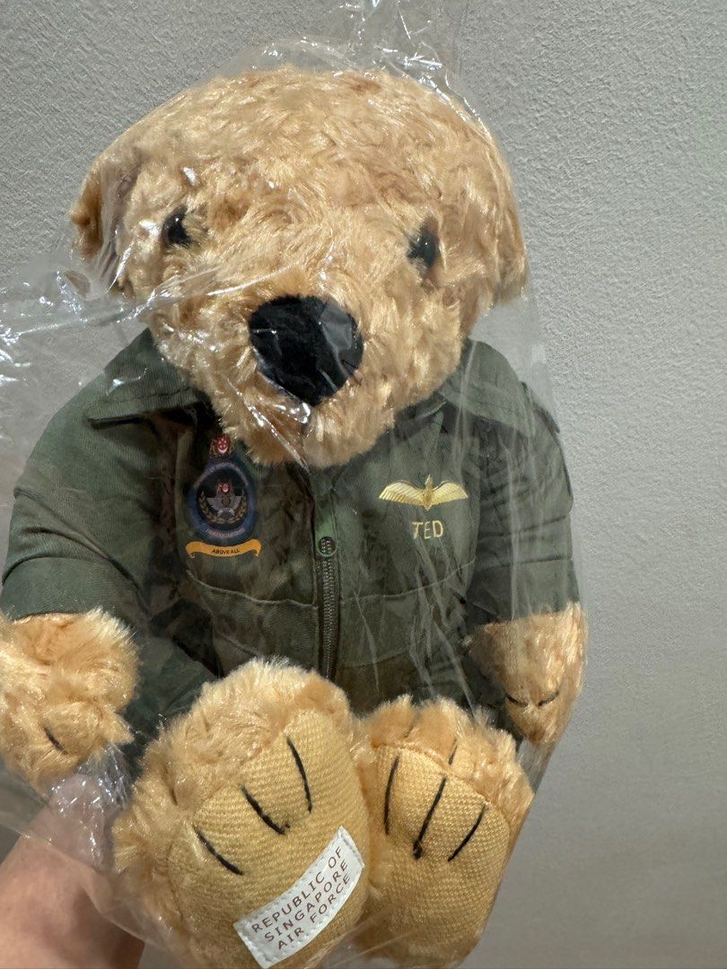 RSAF Captain Ted 2023, Hobbies & Toys, Memorabilia & Collectibles, Fan ...