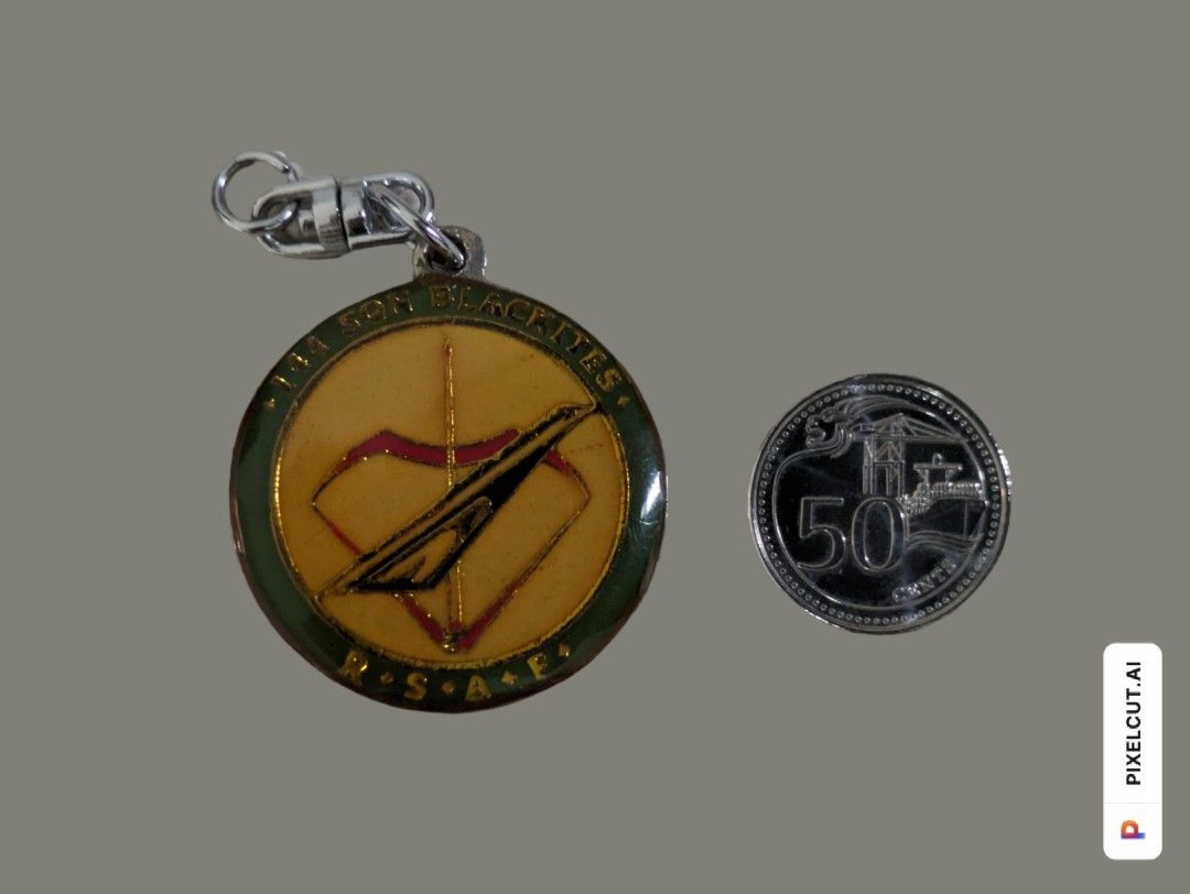 Vintage RSAF F5E Tiger II fighter 144 sqn, Hobbies & Toys, Memorabilia ...