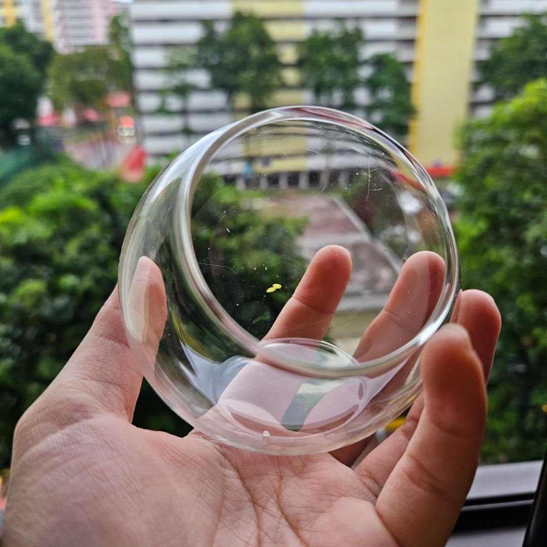 🌱Sphere Round Glass Jar for Plants/ terrarium/ airplant, Furniture ...