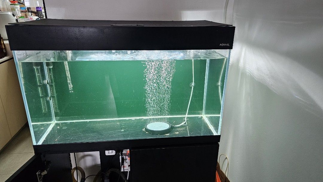 Aquel Fish Tank 3Ft, Pet Supplies, Homes & Other Pet Accessories on ...