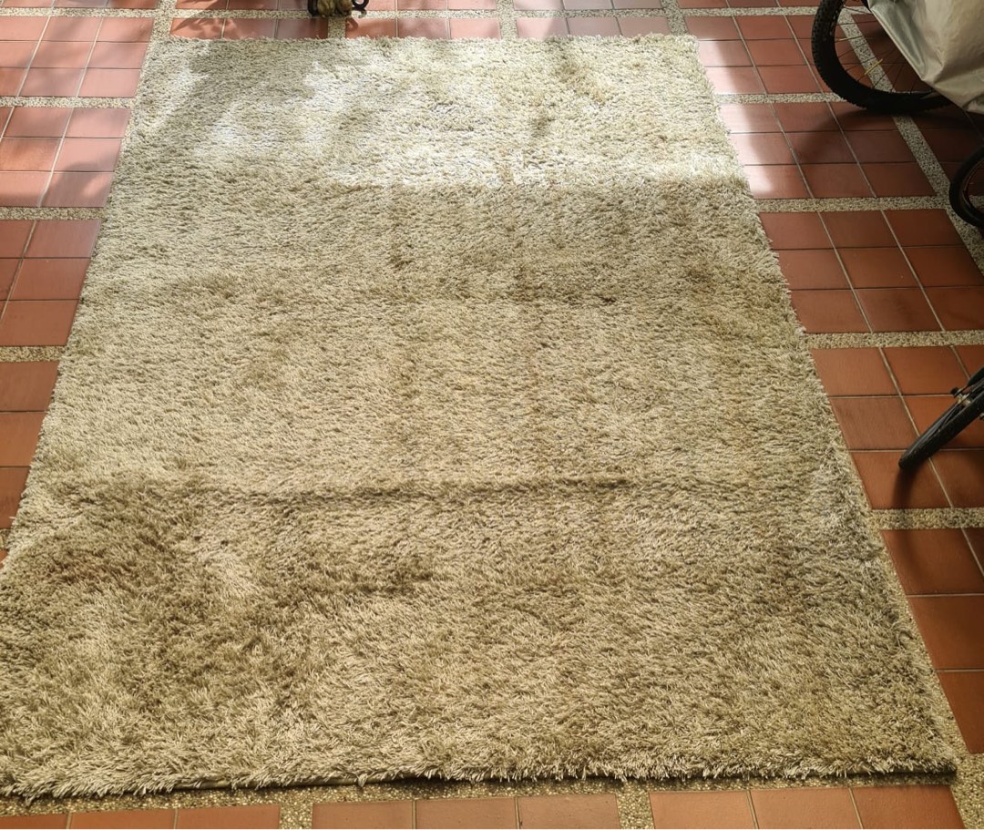Carpet 2mx3m, Furniture & Home Living, Home Decor, Carpets, Mats ...