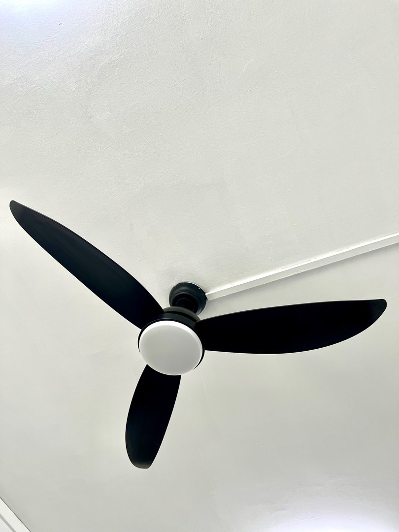 Fanco Black Ceiling Fan, Furniture & Home Living, Lighting & Fans, Fans ...