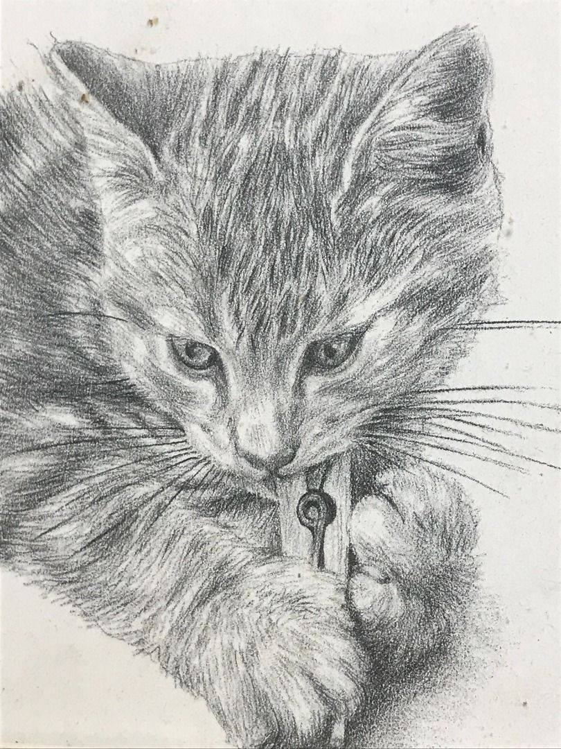 NEBU 1983 Tonal Illustrated Nibbling Clothespin American Shorthair ...