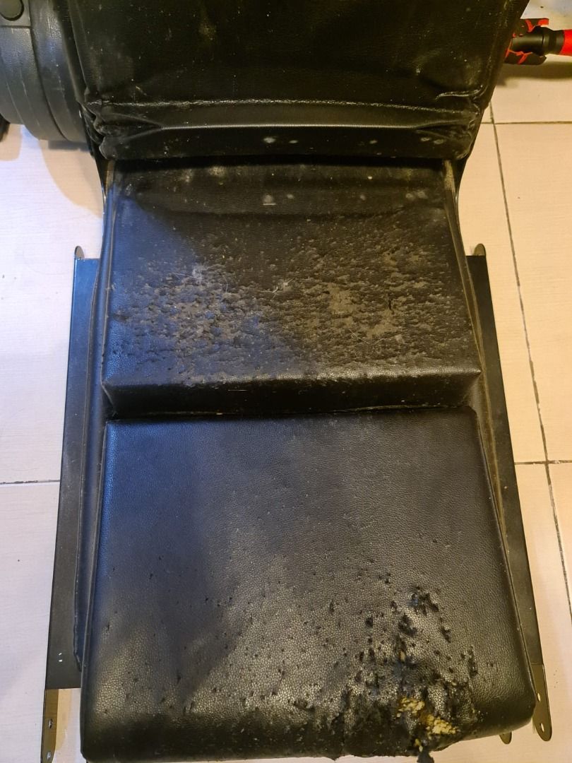 Next Level Racing F1 GT SIMULATOR COCKPIT w/ Thrustmaster T150, Video ...